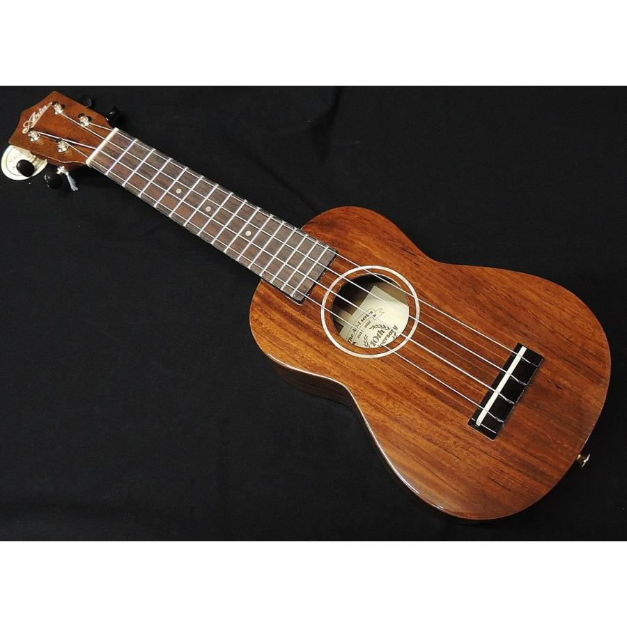 ARIA（楽器） ARIA AU-1HK ハワイアンコア単板 AU-1 限定生産モデル 10周年記念モデル ソプラノウクレレ : オーディオ ...