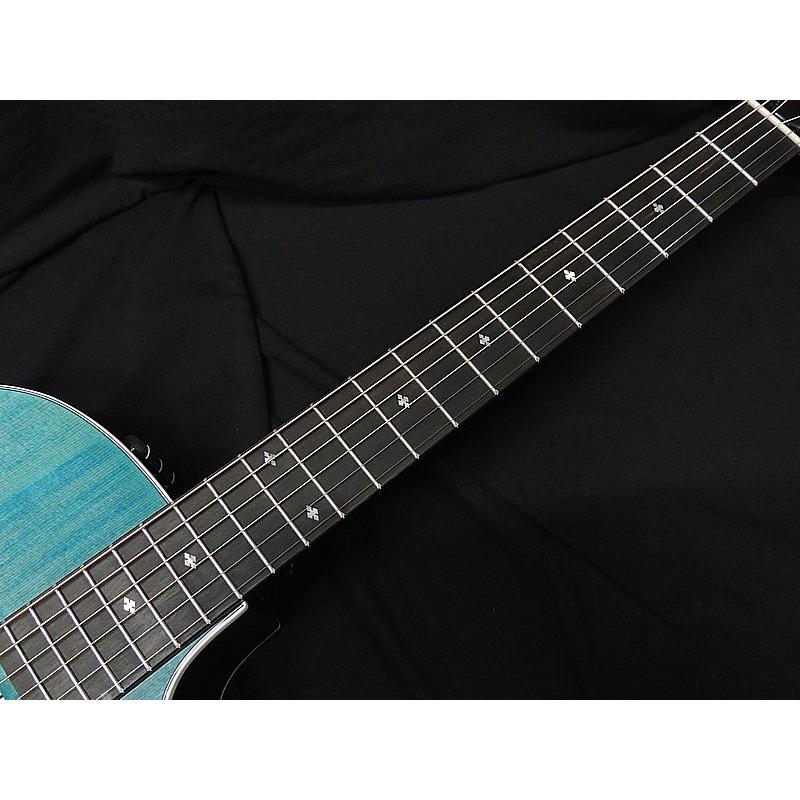 Taylor Taylor 214ce Plus Special Edition, Trans Blue テイラー エレクトリック ...