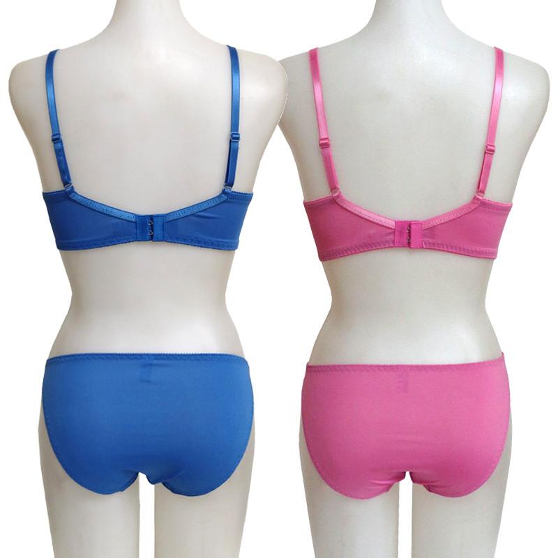 バラ刺しゅうブラジャー＆ショーツ（B65/B70/B75/C65/C70/C75/D65/D70/D75/E65/E70/E75/F65/F70/F75) :9131:アワーズ・クラブ ...