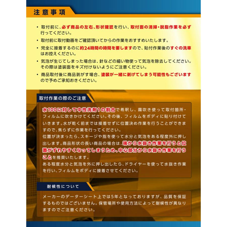 シビック ホンダ シビックハッチバック/シビック タイプR（型式：FL1/4/5）サイドステッププロテクションフィルム リア用2点セット (SM)※メール便発送 時間指定不可 : AXIS ...