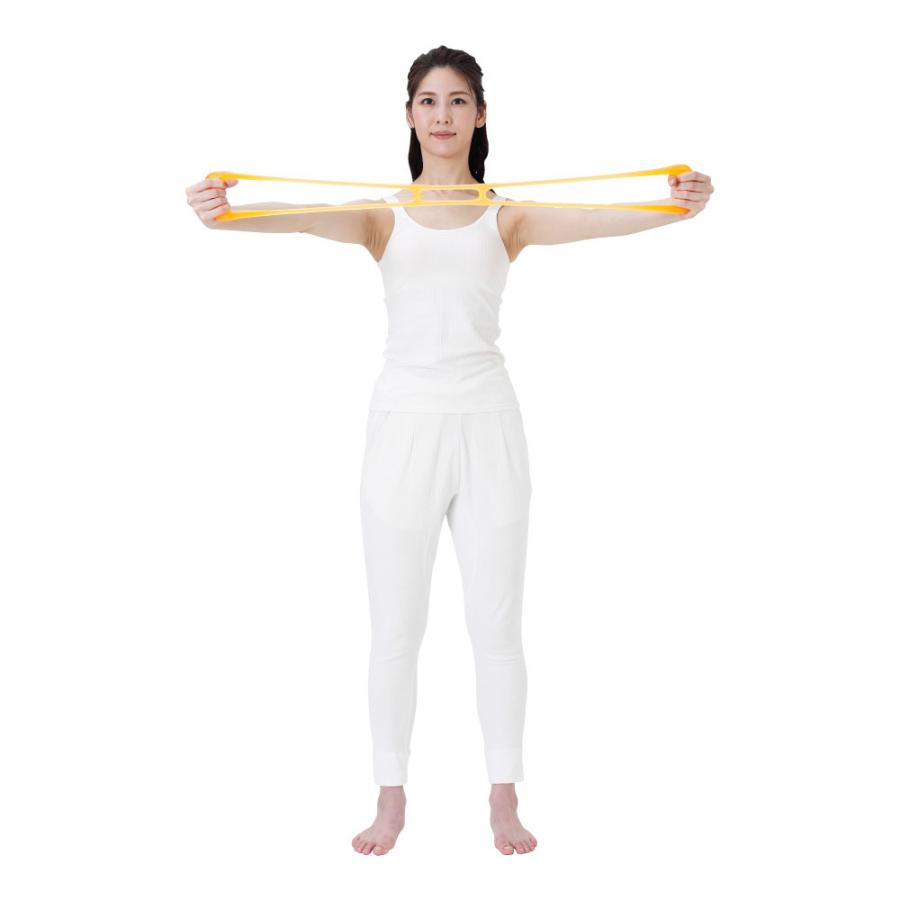 ALINCO アルインコ グリップチューブ ミディアム 負荷6.0kg (WBN314Y) ストレッチ 筋トレ トレーニング 運動 肩こり 腰痛 柔軟 負荷 簡単 初心者 : アクトス ヤフー ...