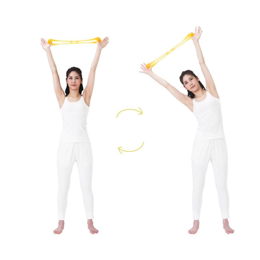 ALINCO アルインコ グリップチューブ ミディアム 負荷6.0kg (WBN314Y) ストレッチ 筋トレ トレーニング 運動 肩こり 腰痛 柔軟 負荷 簡単 初心者 : アクトス ヤフー ...