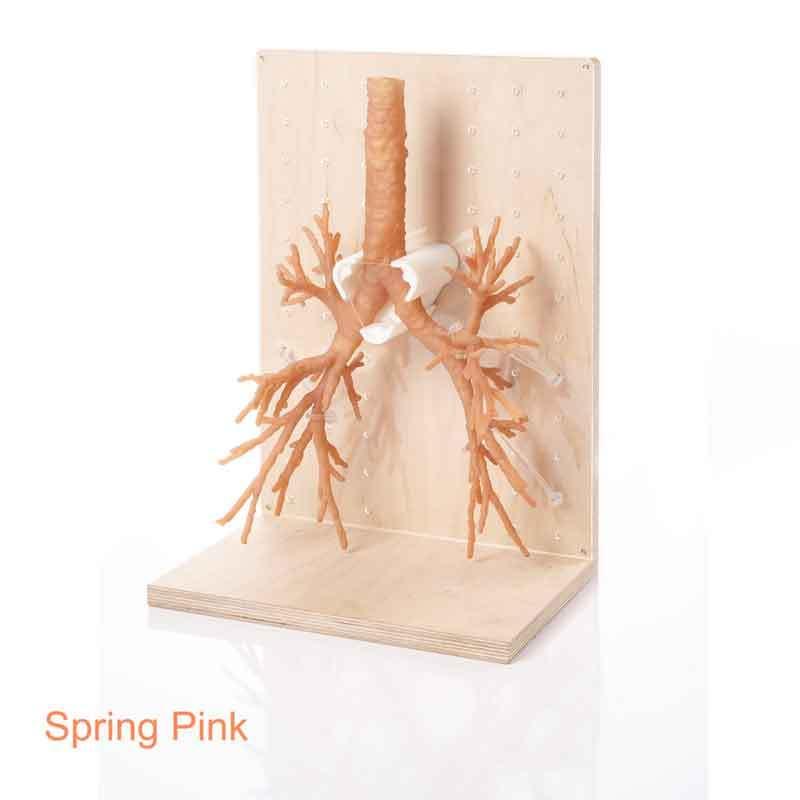 ApplyLabWork LCD光造形 3Dプリンター（MSLA LCD PrintersI用) スプリングレジンピンク（Spring ...