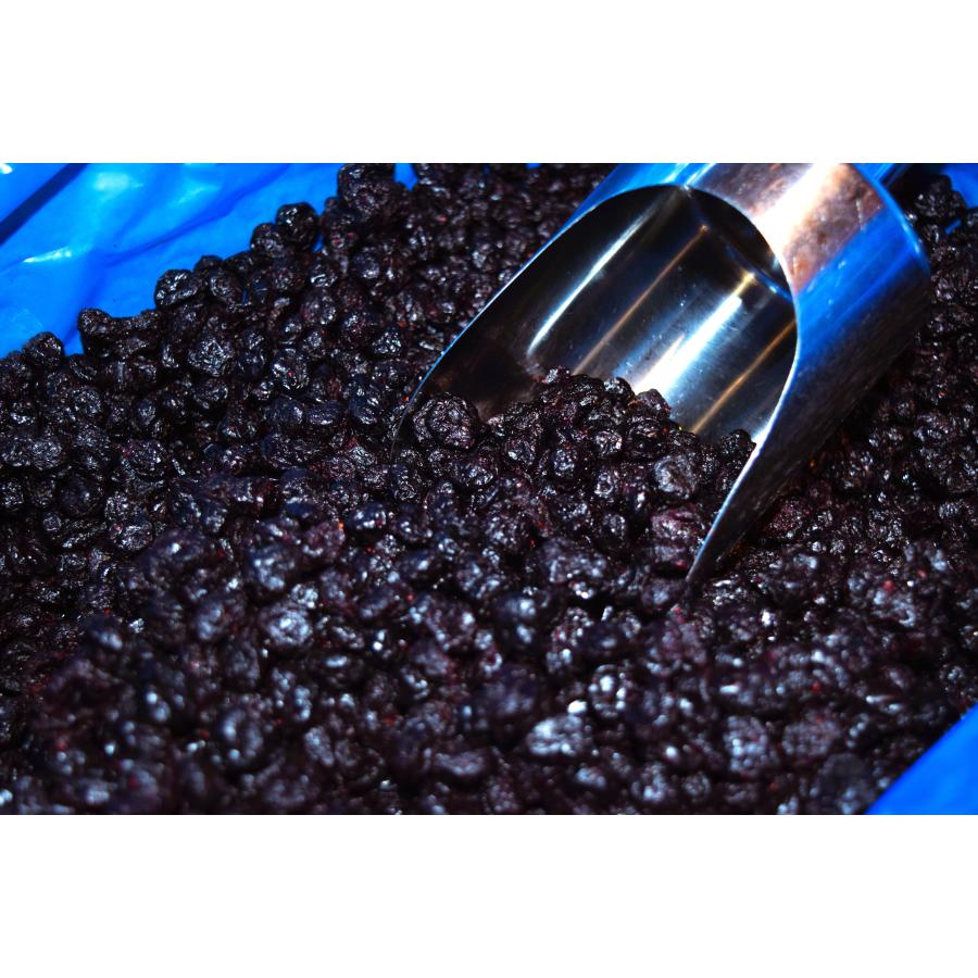 ドライブルーベリー カルチベイト 1kg : 7 : アヤタフード - 通販 - Yahoo!ショッピング