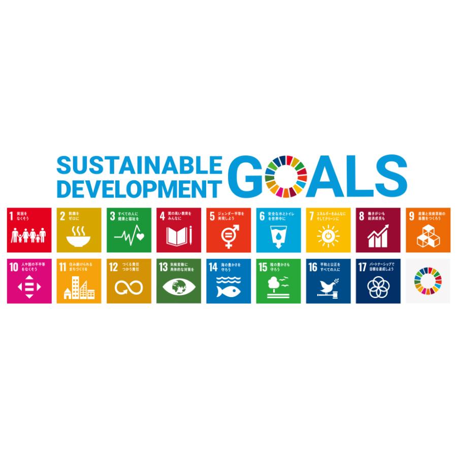 SDGs エスディージーズ セキセイ マグネットバッジ マグネット バッジ 直径26mm SDG-2000-00 : AZESTショップ - 通販 - Yahoo!ショッピング