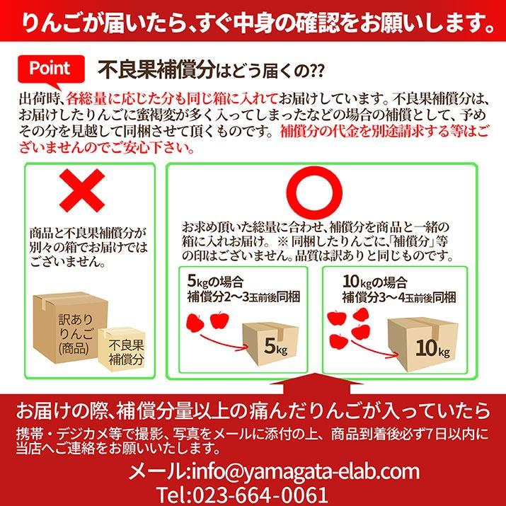 山形県産 りんご 秋映 10kg ご家庭用 茶箱入り (30〜50玉前後) 送料無料 山産地直送りんご お徳用 果物 : グルメギフトお取り寄せ山形eLab - 通販 - Yahoo!ショッピング