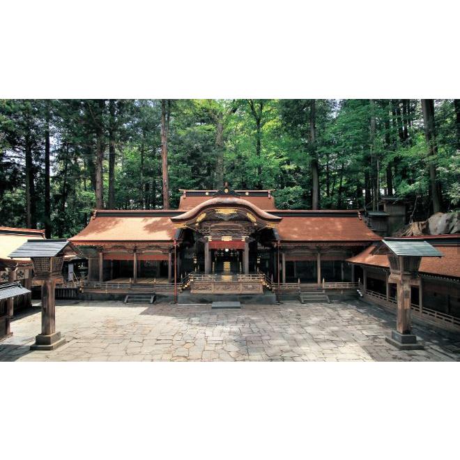 65g 3個 花九曜印 蜂の子花九曜煮 : 20221003hati3 : 安曇野エコ - 通販 - Yahoo!ショッピング