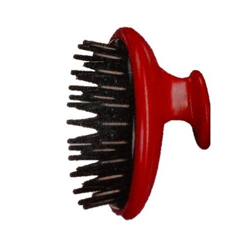 クオレ 【送料無料 数量限定 あすつく】クオレ axi 薬用 サイトプラインMX ctp 200ml + 頭皮用椿オイルシャンプーブラシ set : B・美・B スリービーYahoo!店 ...