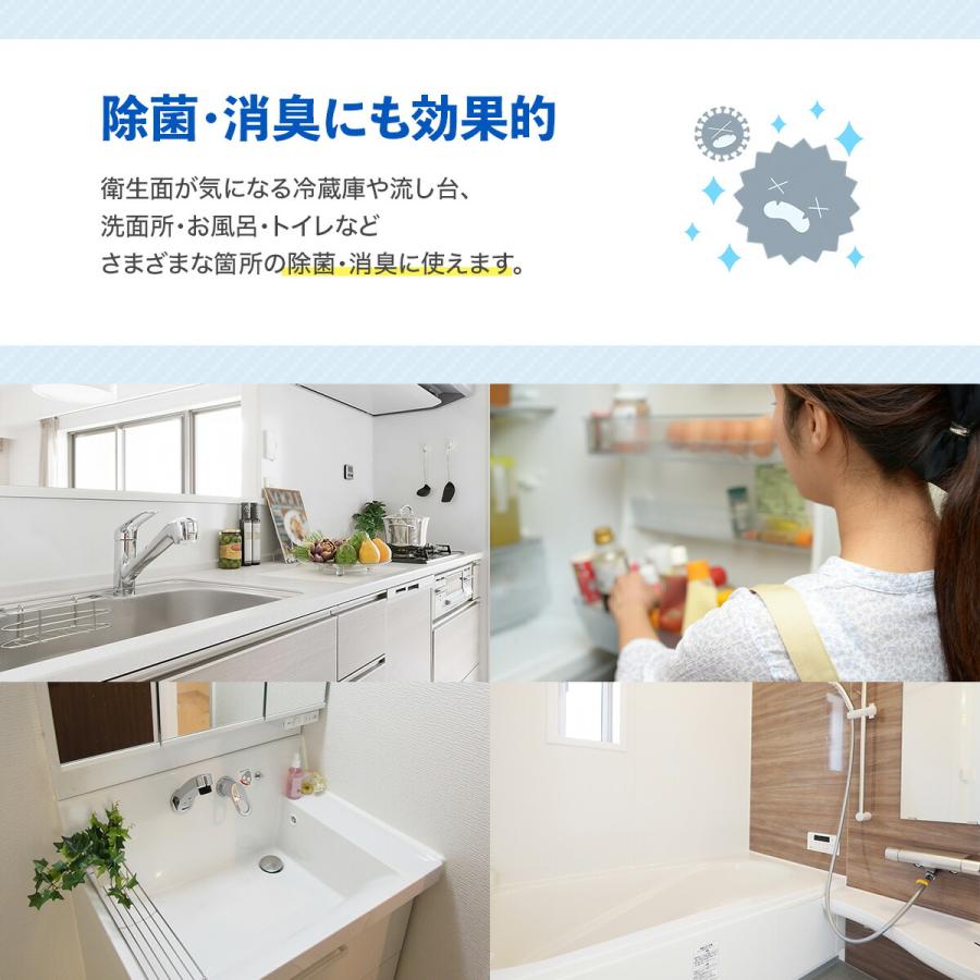 アルカリフラッシュ 500ml スプレー 強 アルカリ電解水 クリーナー pH13.1以上 強力 掃除 強アルカリ水 : 雑貨イズム - 通販 - Yahoo!ショッピング