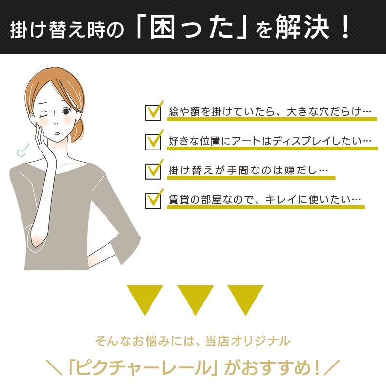 ウォールメイツ正規品 ピクチャーレール セット レール10 180cm 2色 レール 1本(白 ホワイト 木目 ナチュラル) ワイヤー 2本(フック 付) : ハイベルオンラインショップ ...