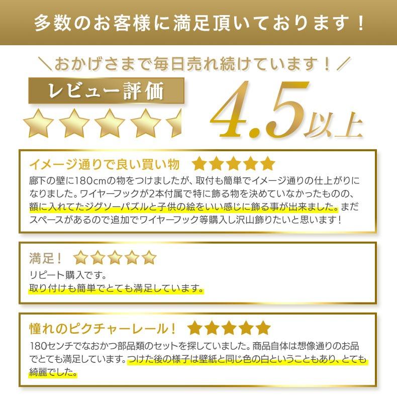 ウォールメイツ正規品 ピクチャーレール セット レール10 180cm 2色 レール 1本(白 ホワイト 木目 ナチュラル) ワイヤー 2本(フック 付) : ハイベルオンラインショップ ...