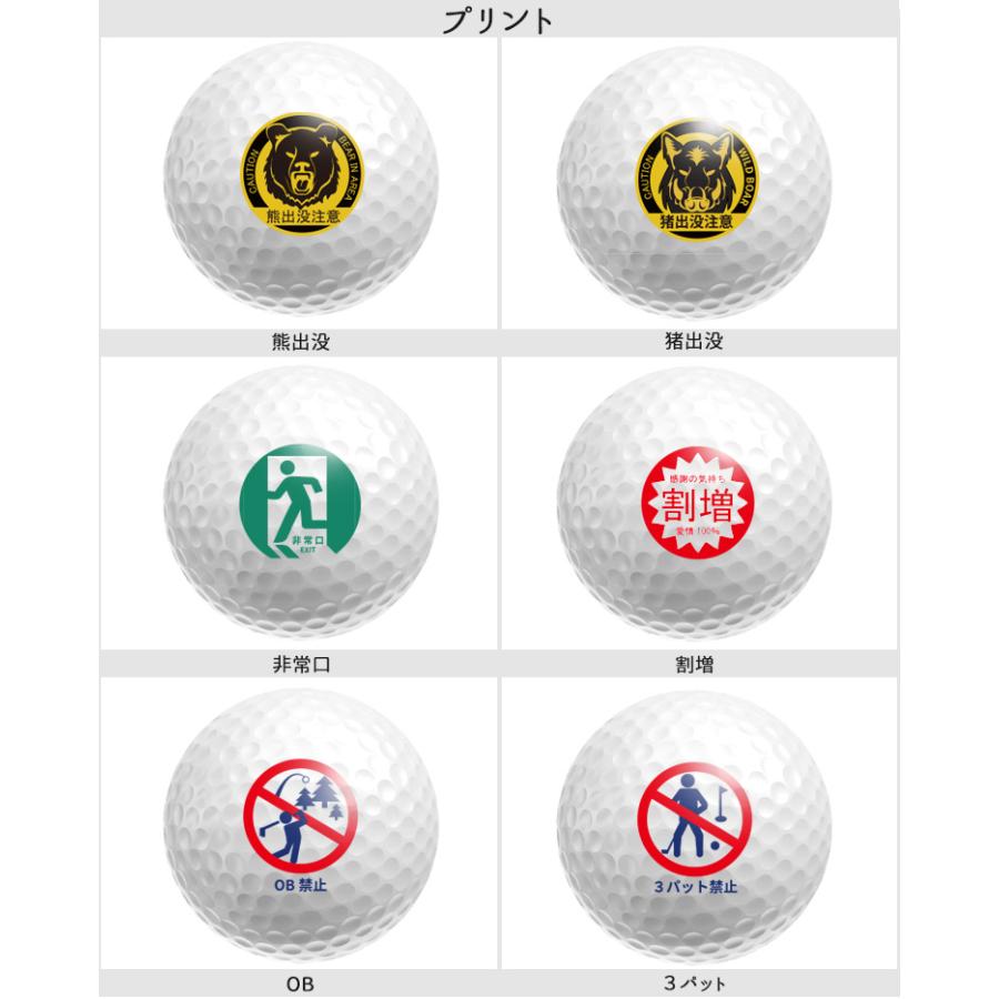 Titleist 【オリジナルオウンネームプリント(納期2-3日)】タイトリスト AVX ゴルフボール 1ダース(12球入り) 2024年モデル おもしろい マーク入り : 美-健康ゴルフ ...