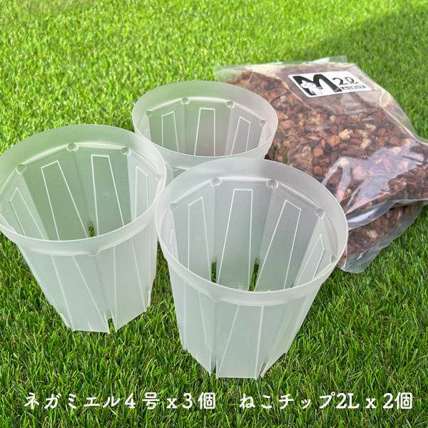 ネガミエル 4号 ねこチップ 浅岡園芸 透明スリット鉢 NEgamieru プラスチック クリア 透明 鉢 観葉植物 : BABU - 通販 - Yahoo!ショッピング