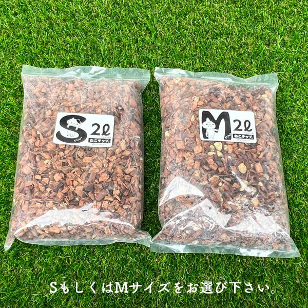 ネガミエル 4号 ねこチップ 浅岡園芸 透明スリット鉢 NEgamieru プラスチック クリア 透明 鉢 観葉植物 : BABU - 通販 - Yahoo!ショッピング
