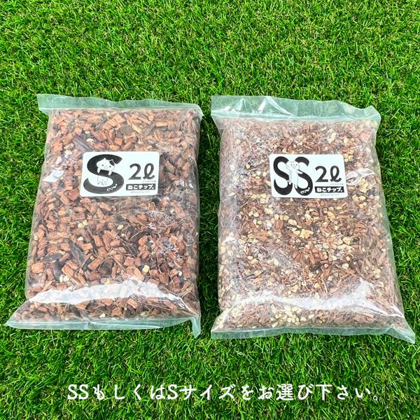 ネガミエル スクエア型 ねこチップ 浅岡園芸 透明スリット鉢 NEgamieru プラスチック クリア 透明 鉢 観葉植物 : BABU - 通販 - Yahoo!ショッピング