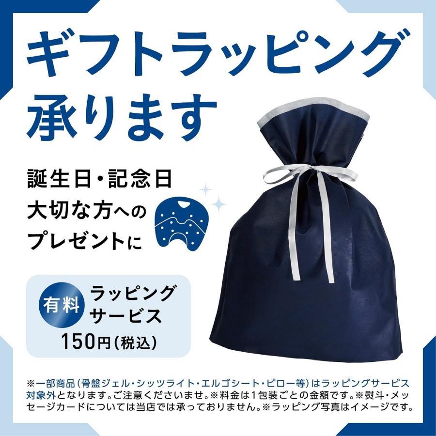ラッピング無料 骨盤矯正 姿勢矯正 公式 シットエアー マックス ラッピング無料 骨盤矯正 姿勢矯正 公式 シットエアー マックス
