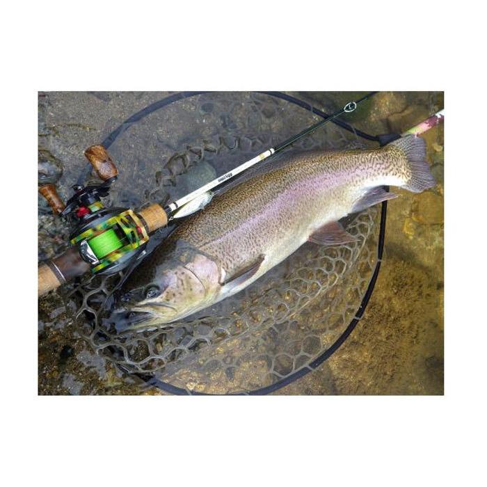 ハルシオンシステム リズモ Ryz-C511L HALSYON SYSTEM Rhyzmo : バックラッシュYahoo!店 - 通販 - Yahoo!ショッピング