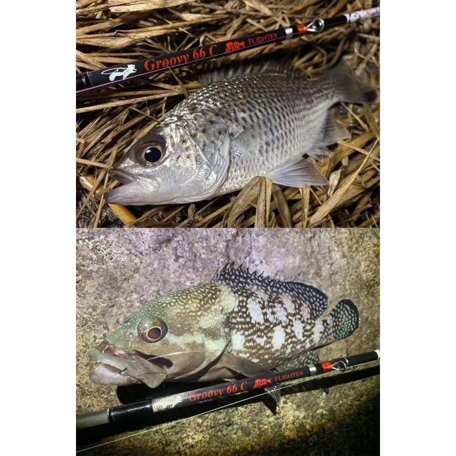 ツララ グルーヴィー 66C TULALA Groovy :y-4582210729040:バックラッシュYahoo!店 - 通販 - Yahoo!ショッピング