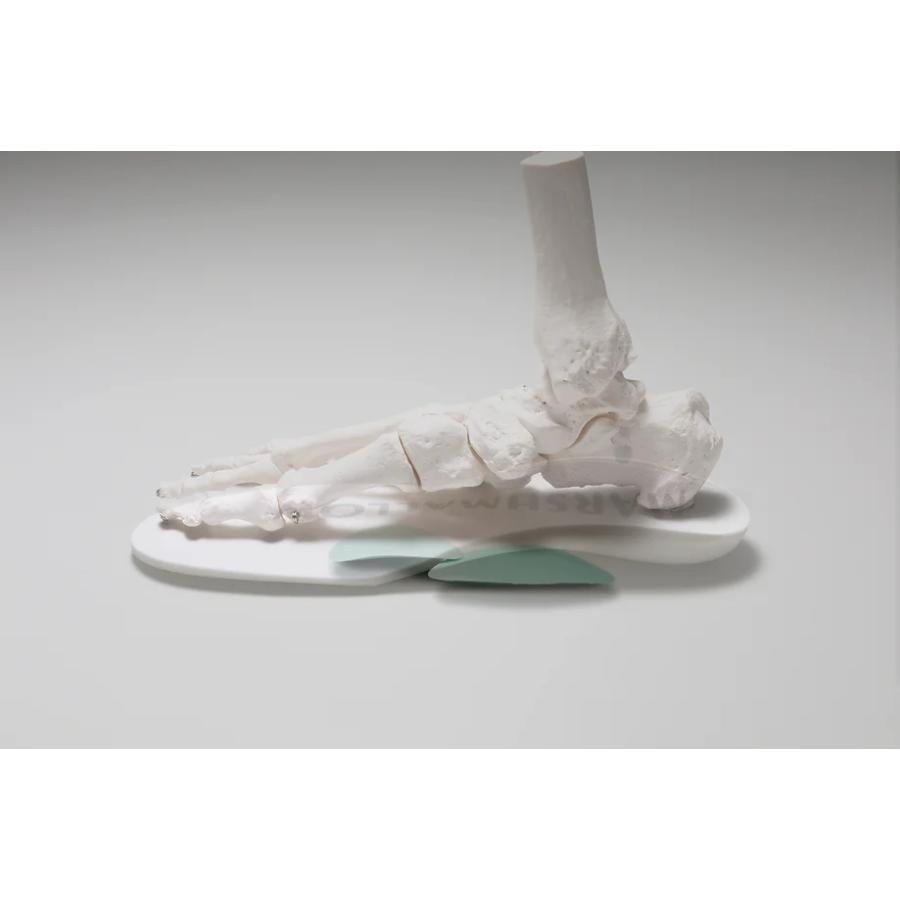 FUSION-FLEXI MARSHMALLOW スポーツインソール フュージョンフレキシマシュマロ ハイブリッドインソール : fusionfleximarshmallow : バドミントン ...