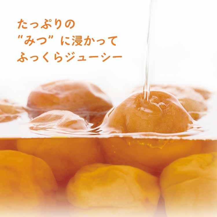 梅干し はちみつ梅 たっぷりみつがけ あまあま3％ 230g 梅翁園 ばいおうえん : 112423 : 紀州梅干の梅翁園ヤフーショッピング店 - 通販 - Yahoo!ショッピング