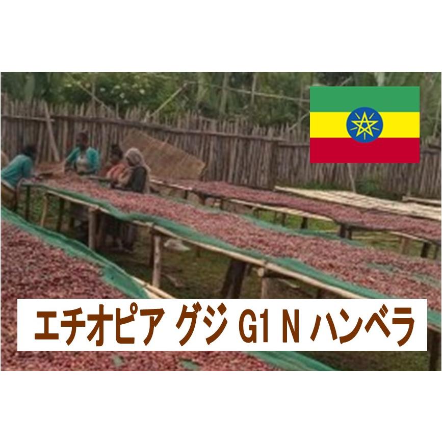 コーヒー豆 エチオピアグジG1ナチュラル ハンベラ 100g : ばいせん工房 珈琲倶楽部ヤフー店 - 通販 - Yahoo!ショッピング