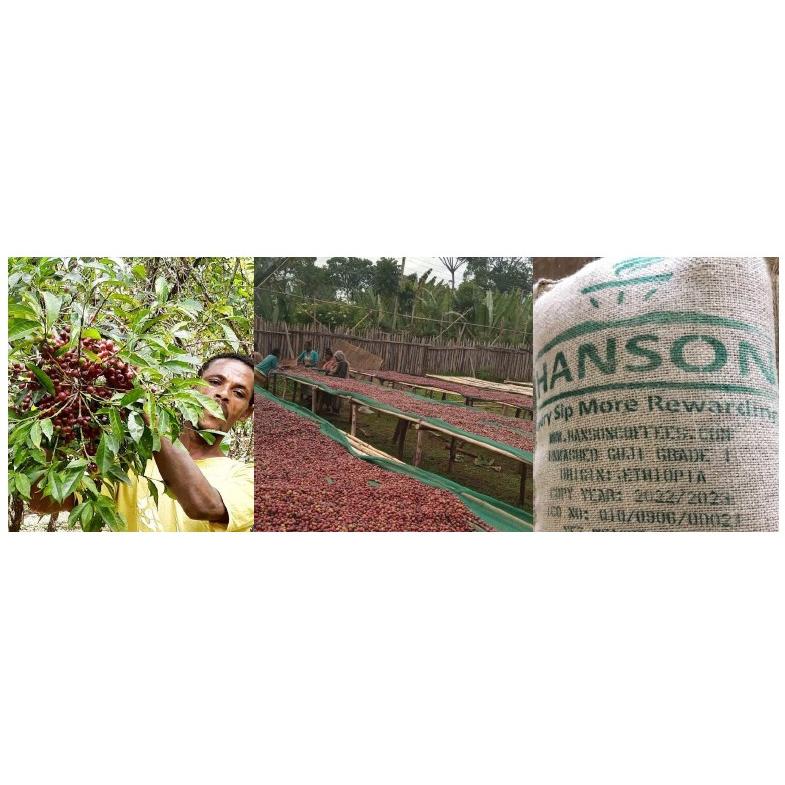 コーヒー豆 エチオピアグジG1ナチュラル ハンベラ 100g : ばいせん工房 珈琲倶楽部ヤフー店 - 通販 - Yahoo!ショッピング