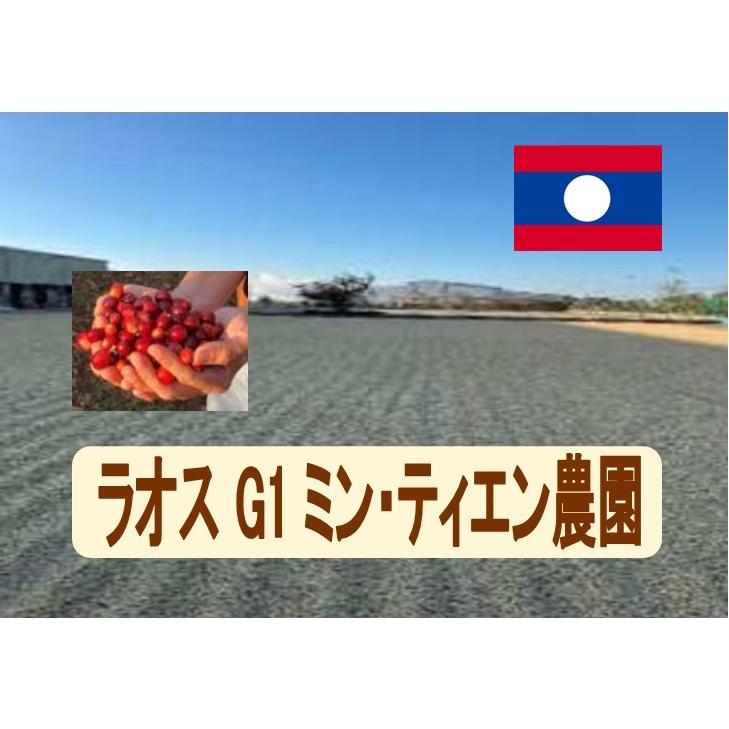 コーヒー豆 ラオスアラビカG1ミン・ティエン農園 100g : ばいせん工房 珈琲倶楽部ヤフー店 - 通販 - Yahoo!ショッピング