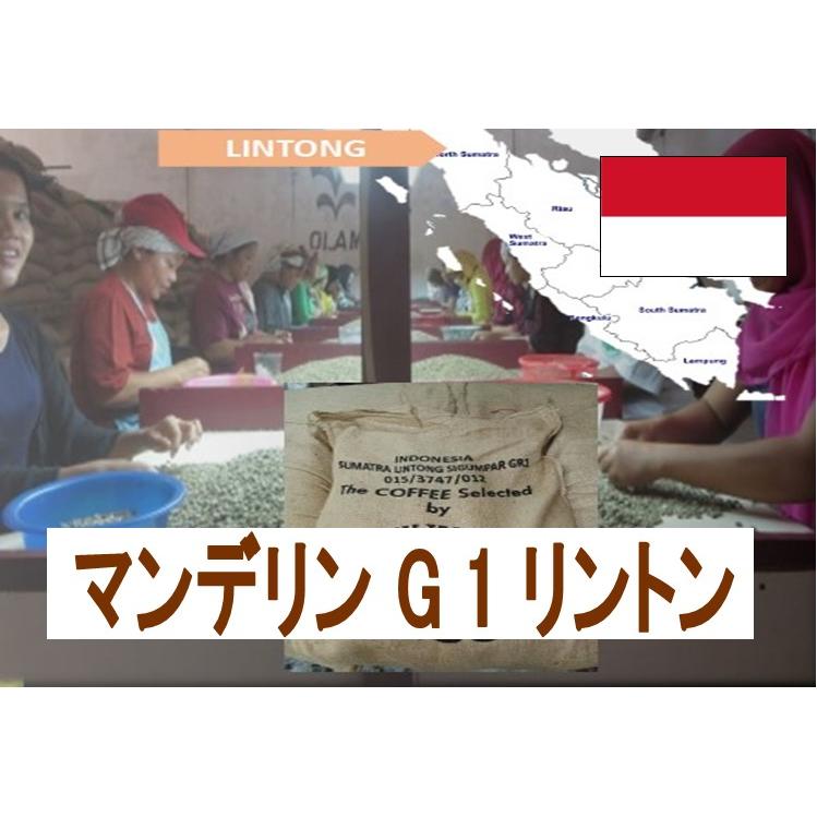コーヒー豆 マンデリン G1 リントン 100g : ばいせん工房 珈琲倶楽部ヤフー店 - 通販 - Yahoo!ショッピング