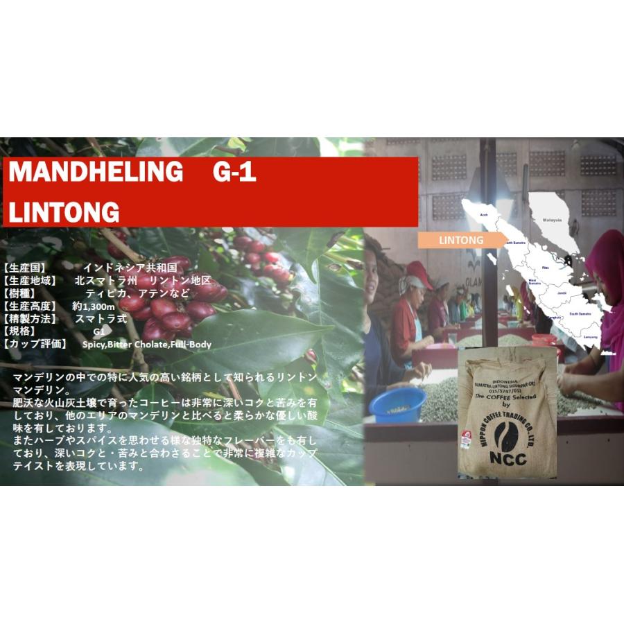 コーヒー豆 マンデリン G1 リントン 100g : ばいせん工房 珈琲倶楽部ヤフー店 - 通販 - Yahoo!ショッピング