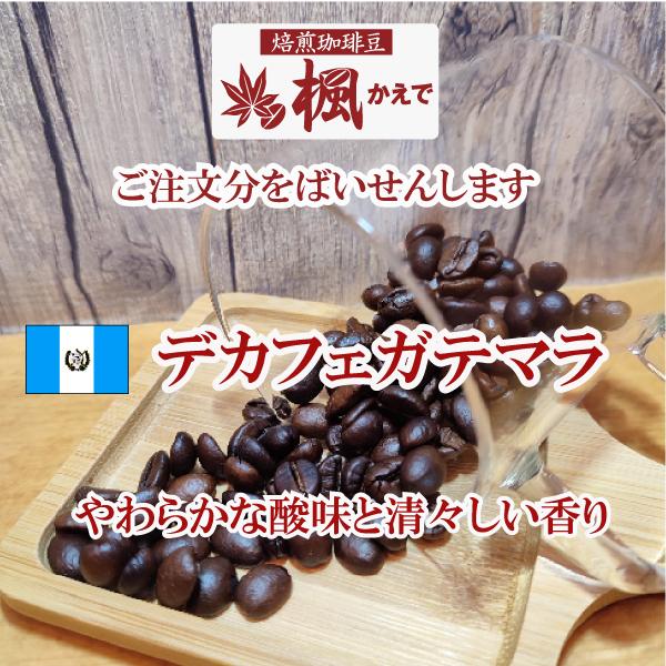 デカフェガテマラ 100g コーヒー ばいせん工房 焙煎したて すぐ発送 コーヒー豆 コーヒー粉 受注焙煎 選べる焙煎度合い : 焙煎珈琲豆 楓 - 通販 - Yahoo!ショッピング