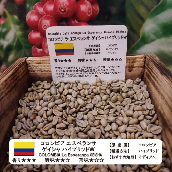 コロンビア エスペランサ ゲイシャハイブリッドW 100g : mame069-100 : 焙煎珈琲豆 楓 - 通販 - Yahoo!ショッピング
