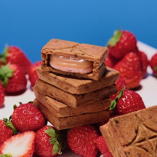 BAKE CHEESE TART 母の日 春ギフト 2025 洋菓子 おしゃれ いちごづくしセット PRESS BUTTER SAND caica 公式 お菓子 : BAKE the ...