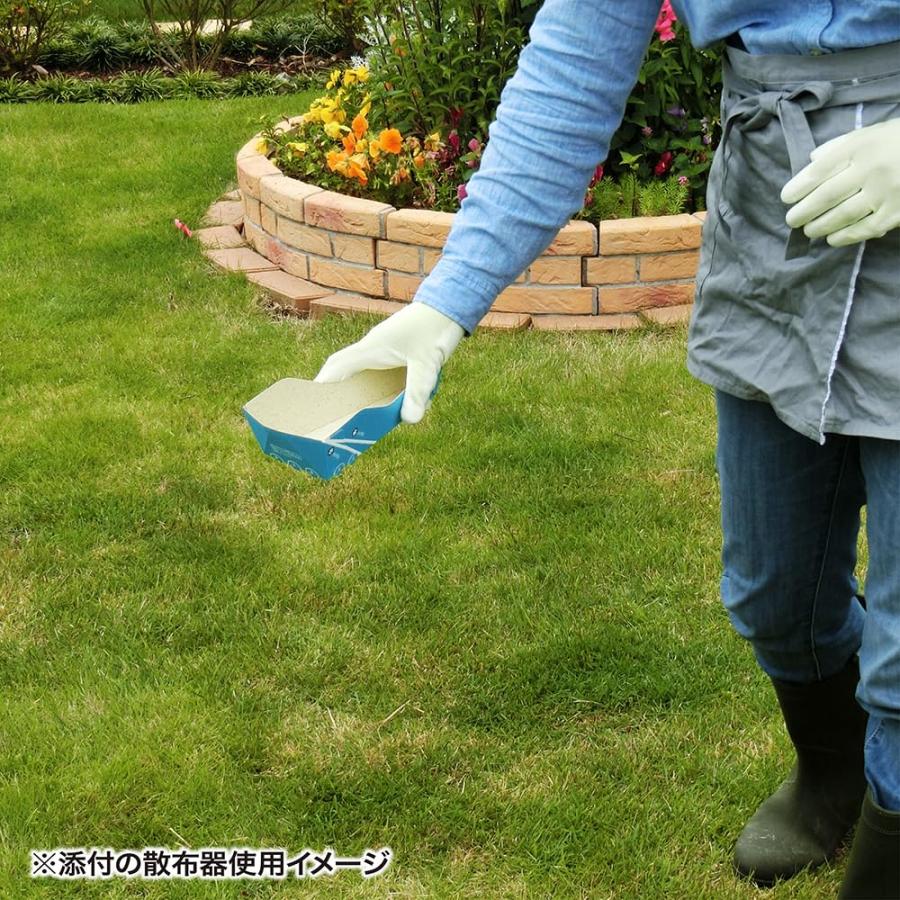 レインボー薬品 芝生用除草剤 シバキープIII粒剤 3kg : World Free Store - 通販 - Yahoo!ショッピング