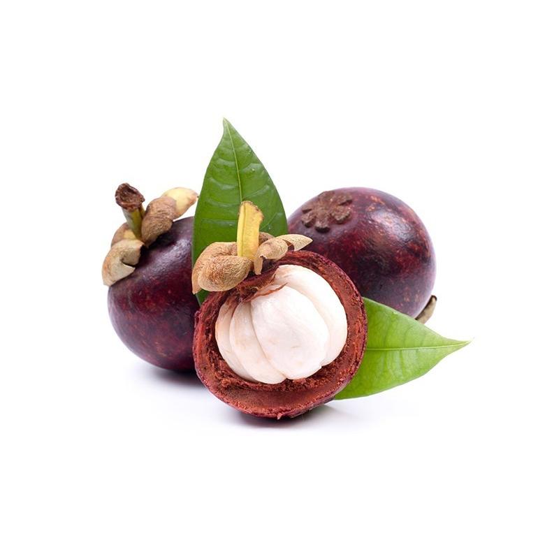 ジャムウ サプリ マスチンプラス Mastin Plus 30カプセル ボロブドゥール Borobudur 海外直送品 : バリフェスタ ...