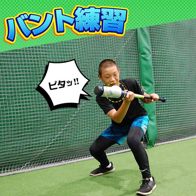 ミートポイントパートナー フィールドフォース バッティング練習 バント練習 ボール2球付き FMPP-1914 : fmpp-1914 : 野球・サッカー専門店ボールクラブ - 通販 ...