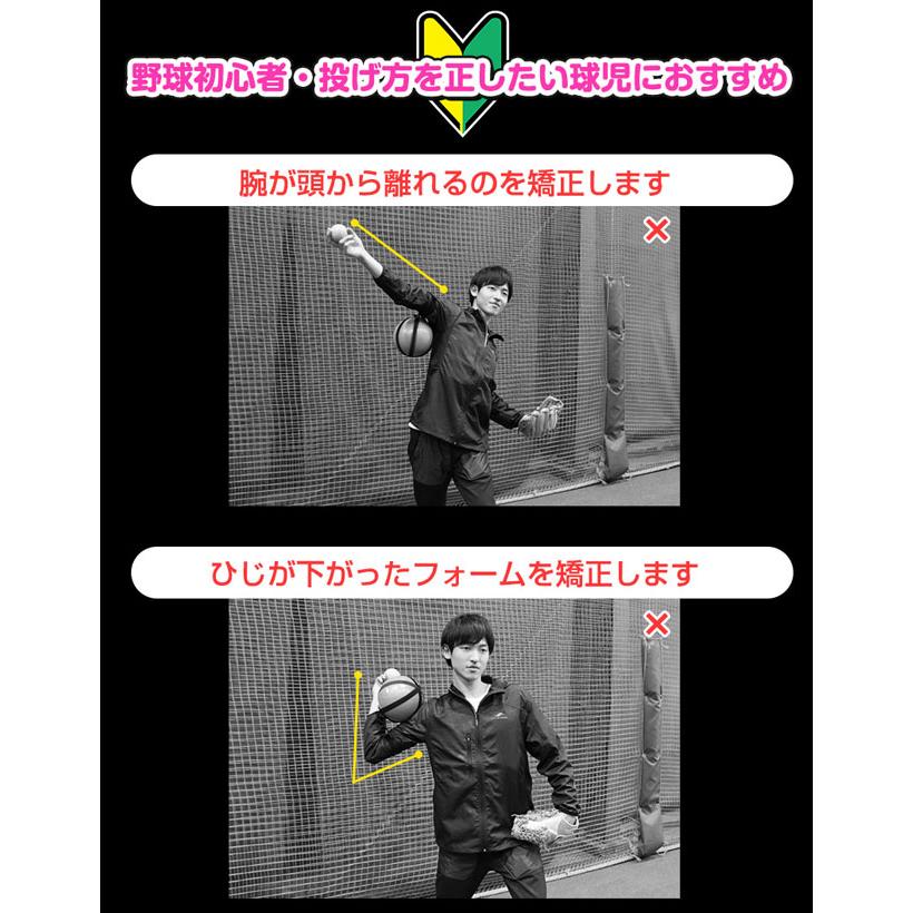FIELD FORCE フィールドフォース NEW スローイングパートナー ポンプ付属 野球 投球練習 ピッチング練習 フォーム矯正 自主練習 トレーニングボール FSLP-18P : 野球 ...