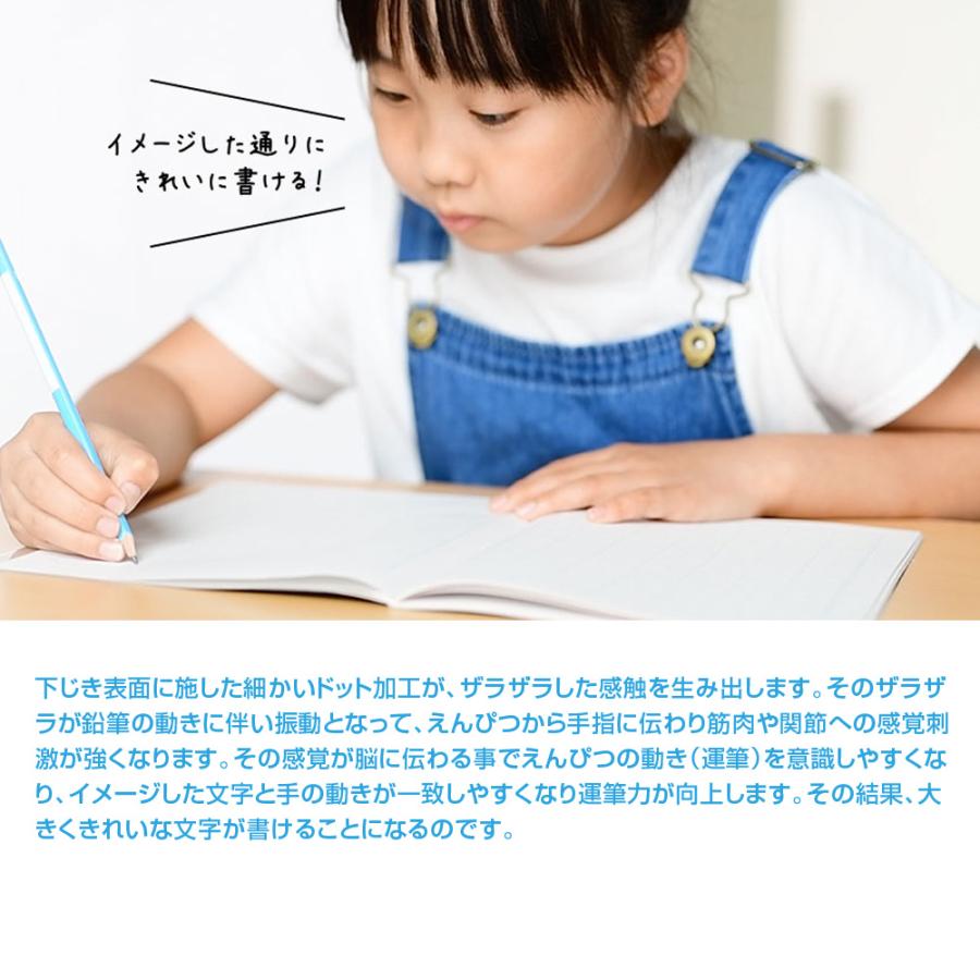 レイメイ藤井 先生おすすめ 魔法のザラザラ下じき B5（0.3mmドット） U783 A ブルー 小学生低学年〜中学生向け 授業ノート・漢字練習帳用 :u783a:バンブーショップ - 通販 ...