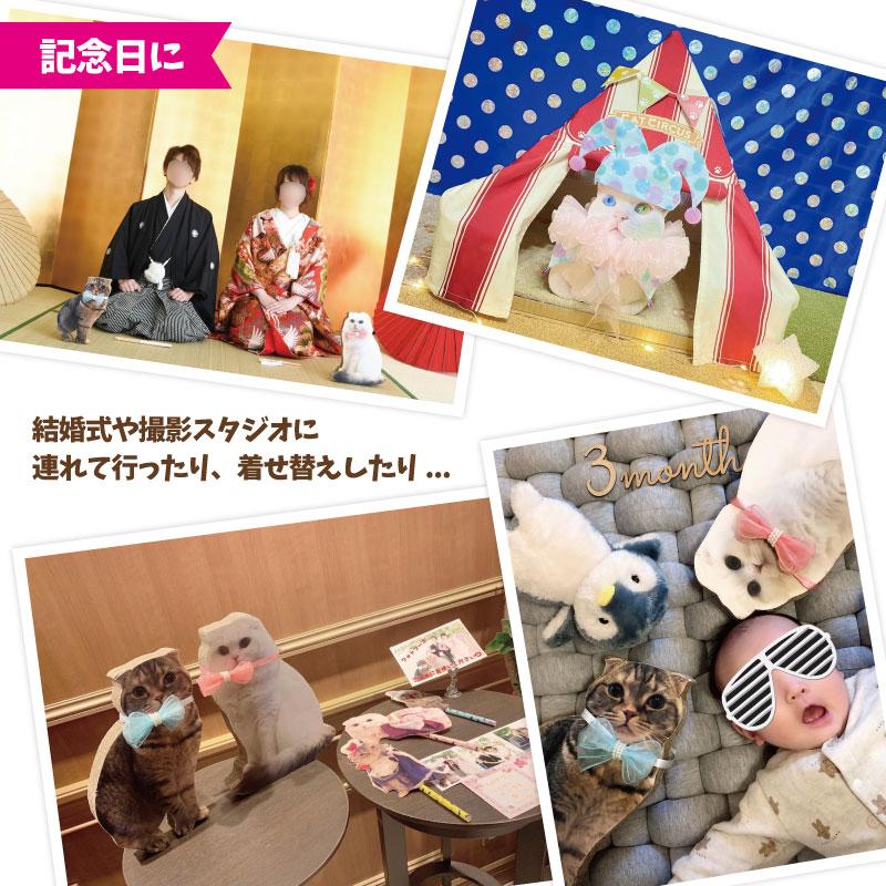 nekoto_うちの子爪とぎパネル : msp : バンドー - 通販 - Yahoo!ショッピング