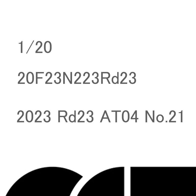 1/20 F1 2023年 Rd23 AT04 No.21 3Dプリントキット 20F23N223Rd23 : 車模型 barchetta ...