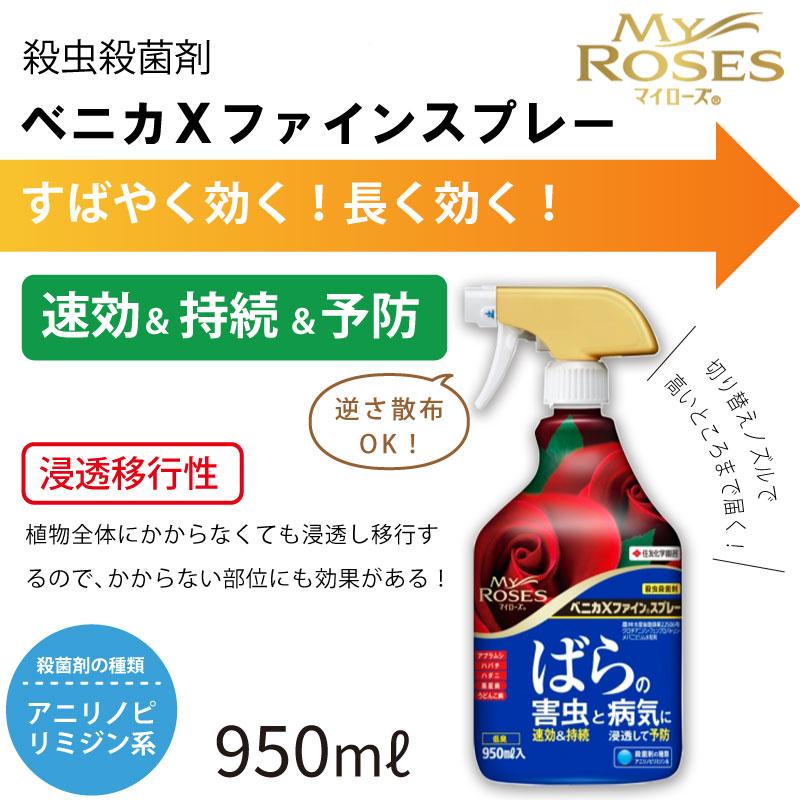 住友化学園芸 殺虫殺菌剤 マイローズ ベニカXファインスプレー 950ml 2本セット 園芸用品 ガーデニング うどんこ病 黒星病 KINCHO園芸 : 芝生のことならバロネスダイレクト ...