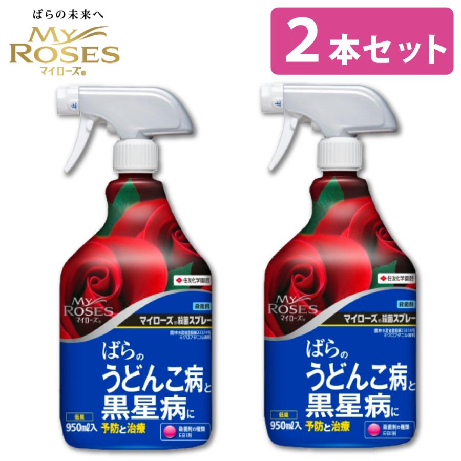 住友化学園芸 殺菌剤 マイローズ殺菌スプレー 950ml 2本セット 園芸用品 ガーデニング うどんこ病 黒星病 KINCHO園芸 : 芝生のことならバロネスダイレクト - 通販 ...