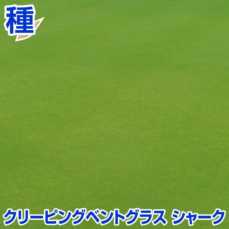 バロネス 芝 芝生 種 超高級 ニュークリーピングベントグラス シャーク 11.3kg入 寒地型芝 ニューベント : 芝生のことならバロネスダイレクト - 通販 - Yahoo!ショッピング