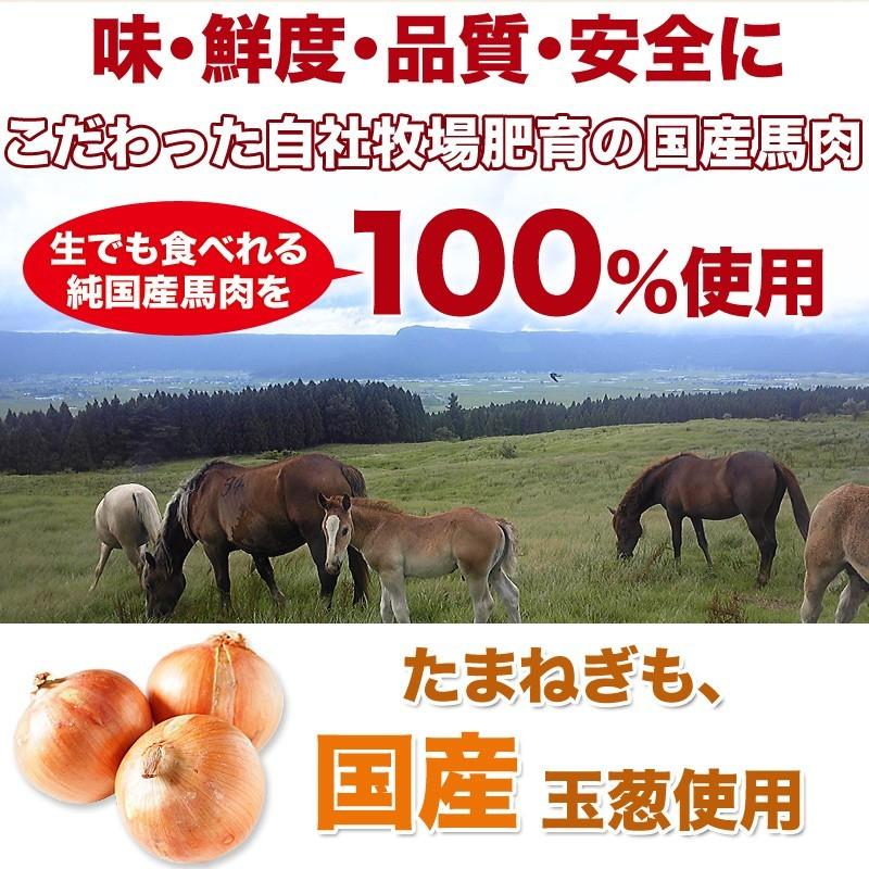 馬刺し 熊本 馬ニラメンチカツ 100g × 50個セット 冷凍 業務用 父の日 母の日 :nira-uma-menchi50:馬刺し屋 ...