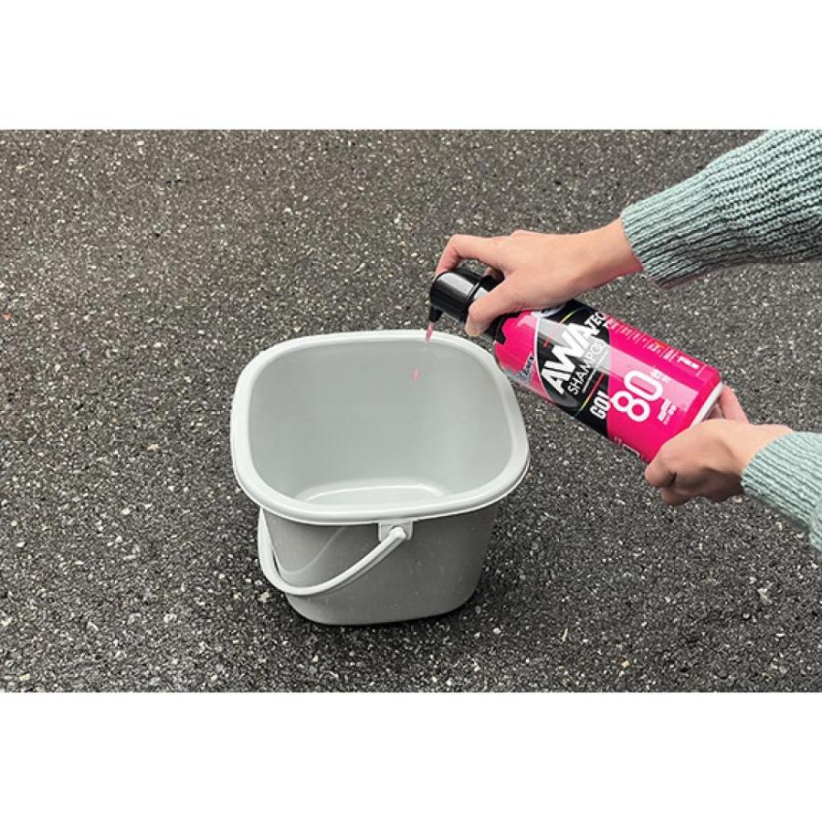 ソフト99 ALAUNEN アワテクシャンプー 800ml 02901 洗車 車 シャンプー 泡 中型車約80台分 洗浄 カーシャンプー SOFT99 : BASE CAMP 8 - 通販 ...