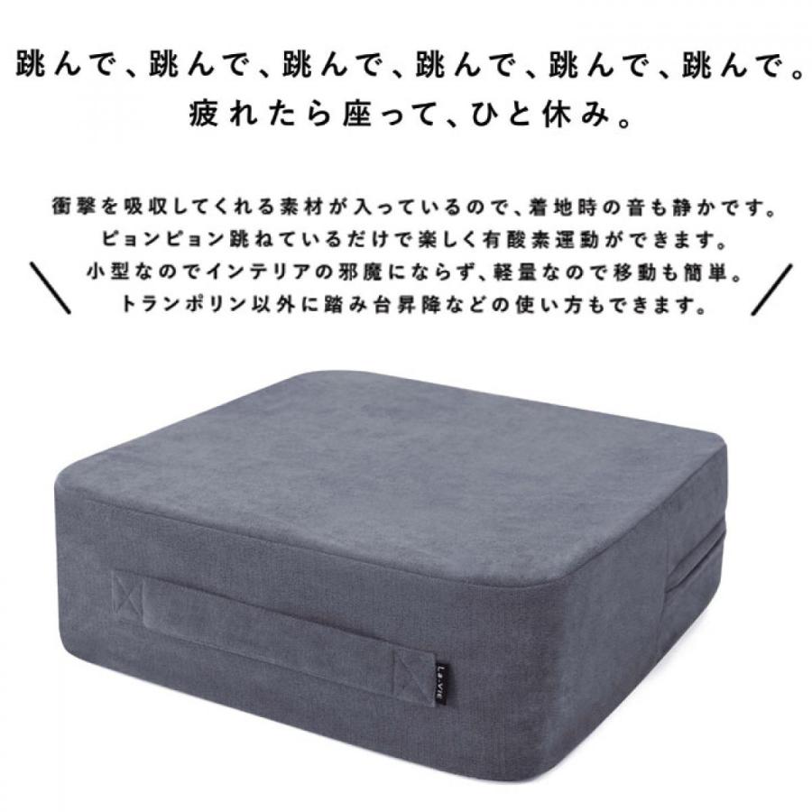 La-VIE(ラヴィ) クッショントランポリン トランポ！ 3B-4830 トレーニング 健康器具 癒し リラックス : BASE CAMP 8 - 通販 - Yahoo!ショッピング