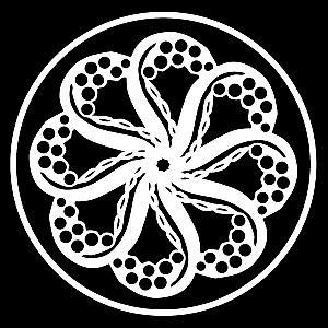 OCTOPUS IS REAL NATE TYLER IV CORDUROY GRIP BLACK オクトパス デッキパッド サーフィン ...