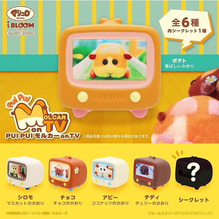 BLOOM（おもちゃ） ブルーム スクイーズ PUI モルカー on TV 1個 : basicbag ヤフーショップ - 通販 - Yahoo!ショッピング