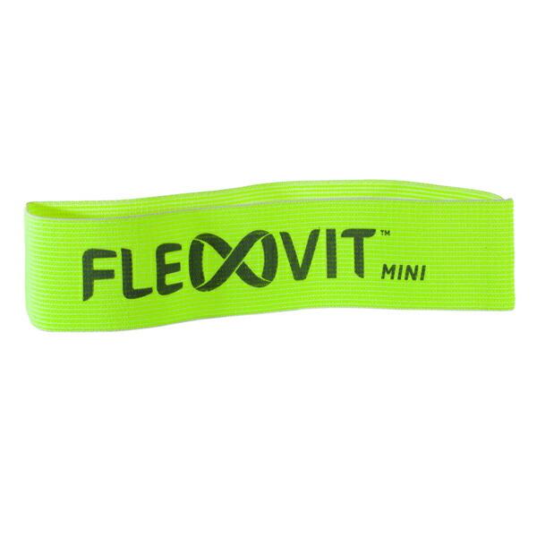 FLEXVIT MINI フレックスビット ミニループバンド （R）レギュラー 60cm フレックスヴィット トレーニング フィットネス ミニ ...