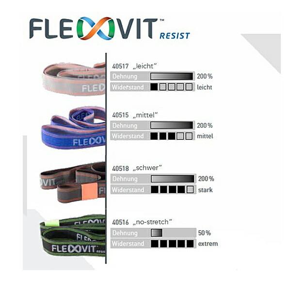 FLEXVIT RESIST フレックスビット レジストバンド フレックスヴィット トレーニング フィットネス ドイツ スポーツ医学 トップ ...