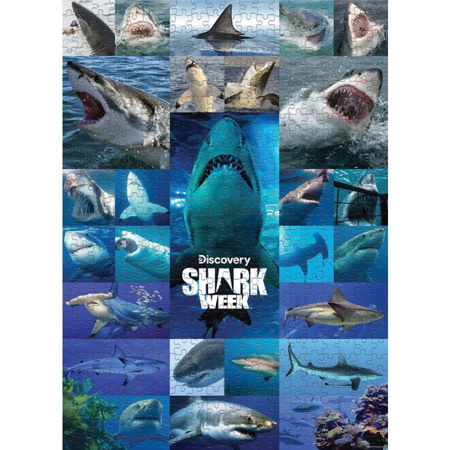 Shark Week “Shiver of Sharks” 1000ピースジグソーパズル 米国オフィシャルライセンス Great White ...